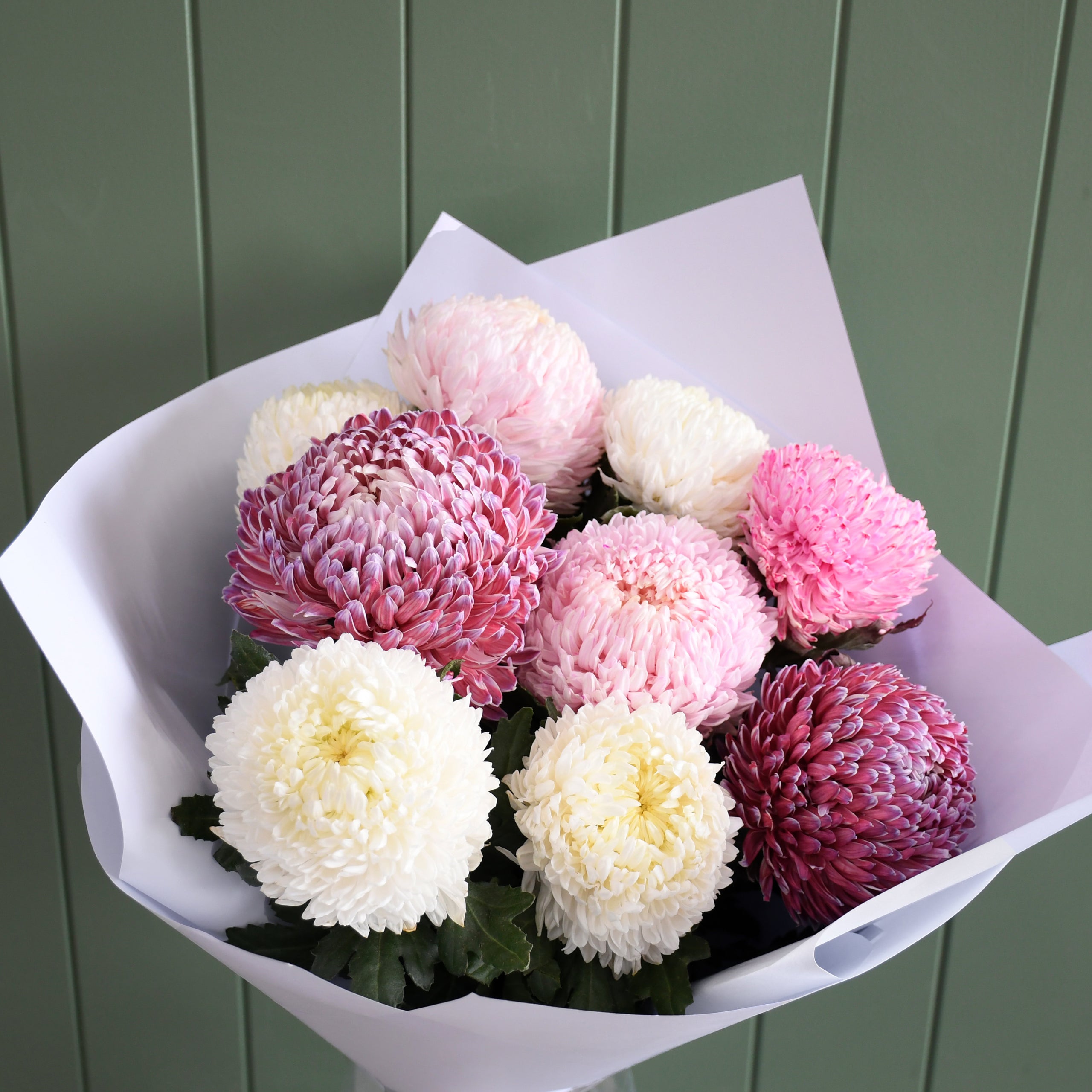 Darling Disbuds | Miss Wildflower